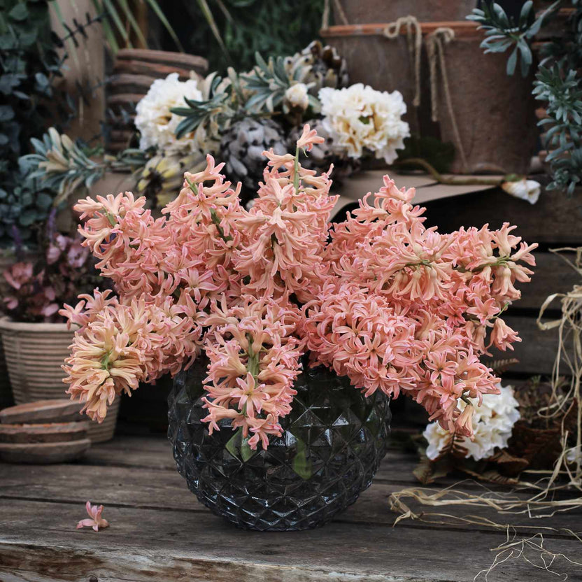 Trevenson Moor Garden Centre, Camborne, Cornwall – Trevenson Moor ...