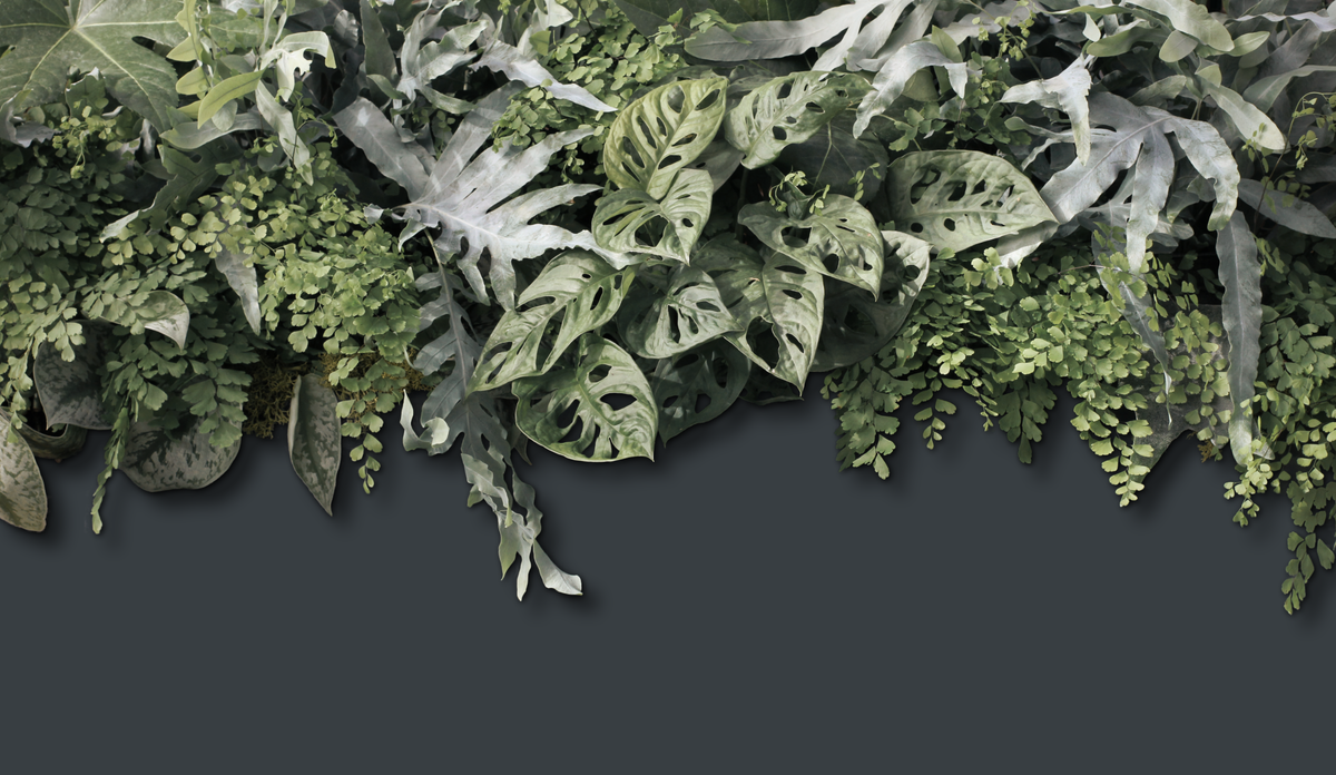 Trevenson Moor Garden Centre, Camborne, Cornwall – Trevenson Moor ...